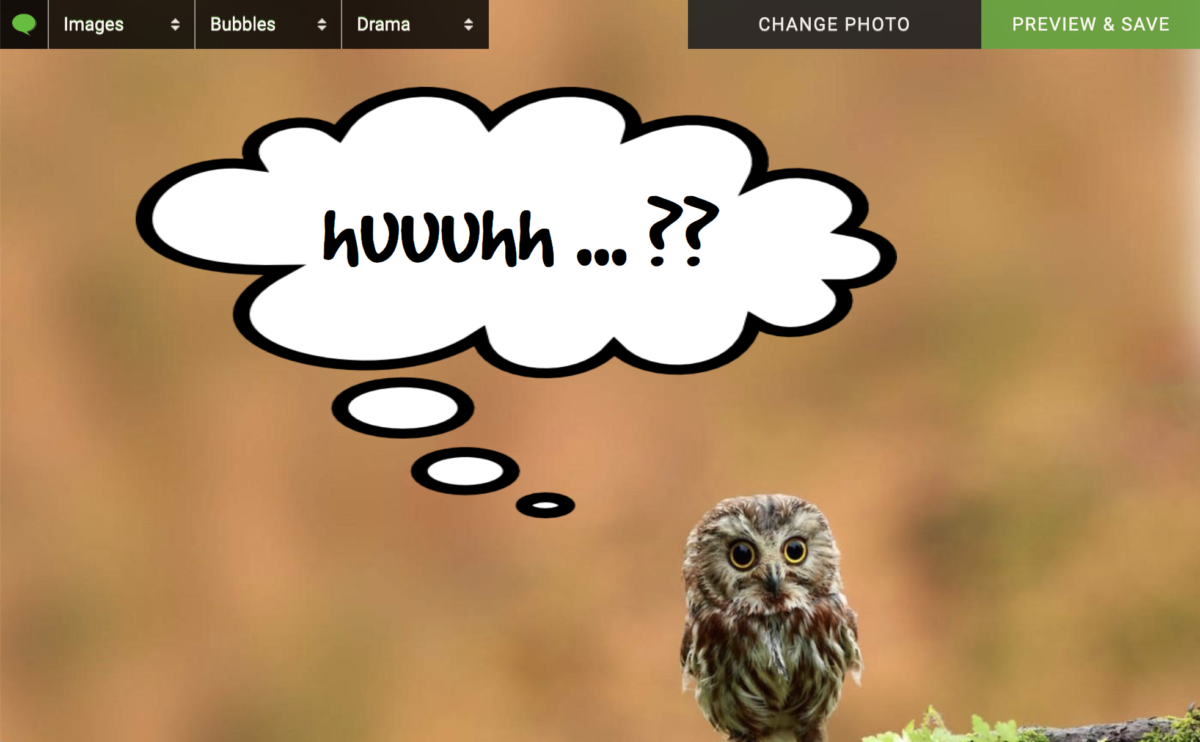 Add Speech Bubble to Photos Online With PhraseIt - Phrase.it Blog